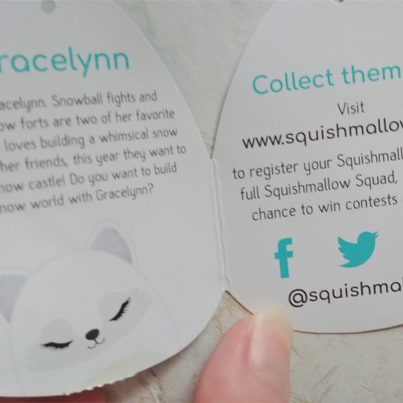 Squishmallows | Toys | New Hang Tag Only Squishmallows Gracelynn Arctic ...